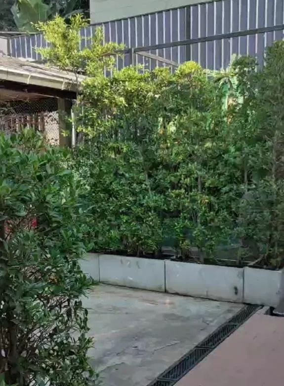 Exploring Bangkok's garden-style "sauna" Baan JV - iMedia