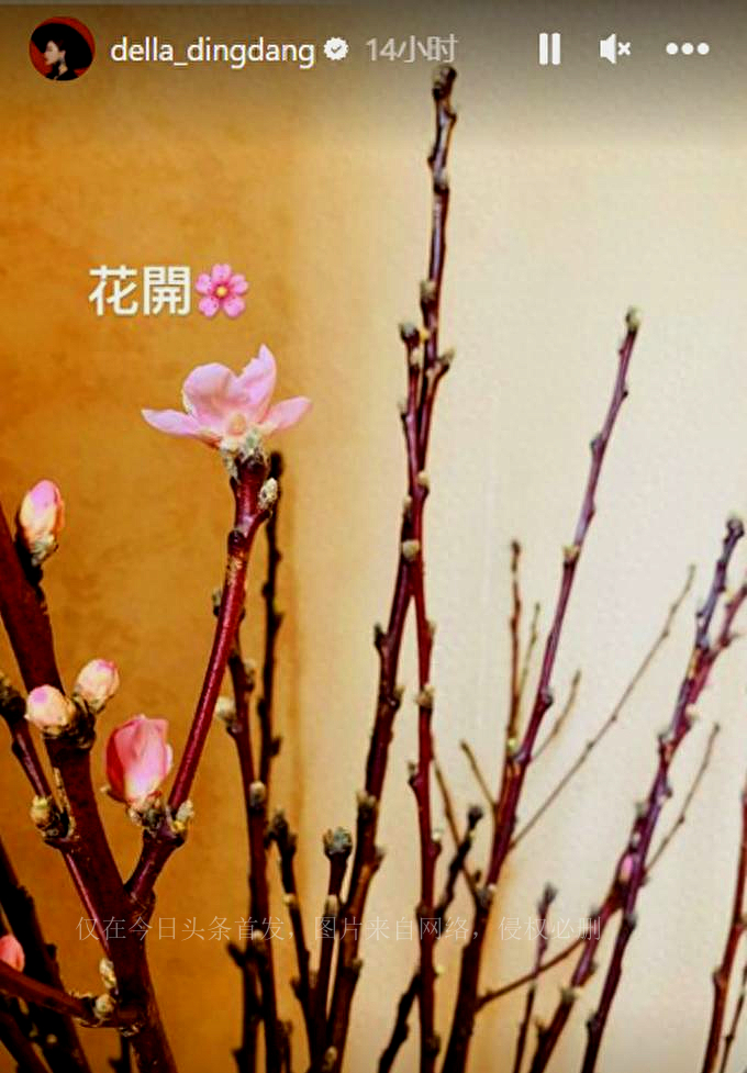 40-year-old singer Ding Dang officially announced her relationship and ...