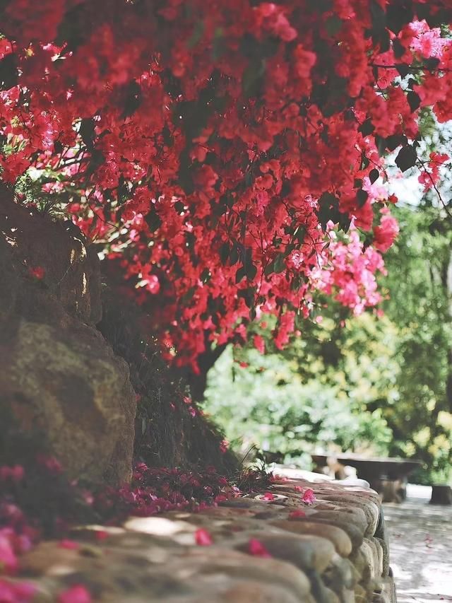 The ancient poems that make people amazing at first glance, netizens ...