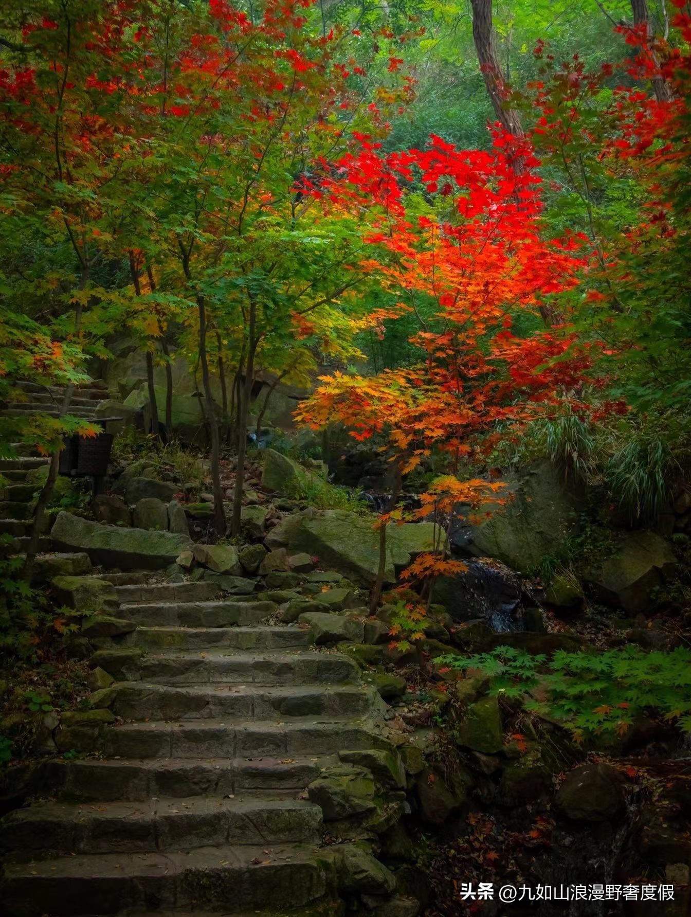 Autumn escape city plan!Hide in the mountains to go on vacation - iNEWS