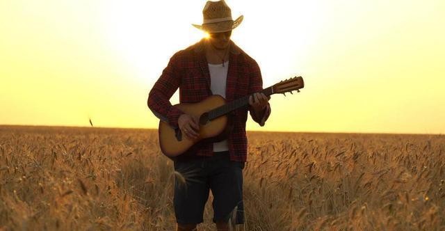 Professional Science: Why is folk music at the bottom of the music ...