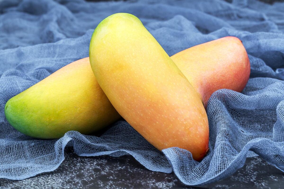Mango: Artifact to stop bleeding or taboo during menstrual period? - iMedia