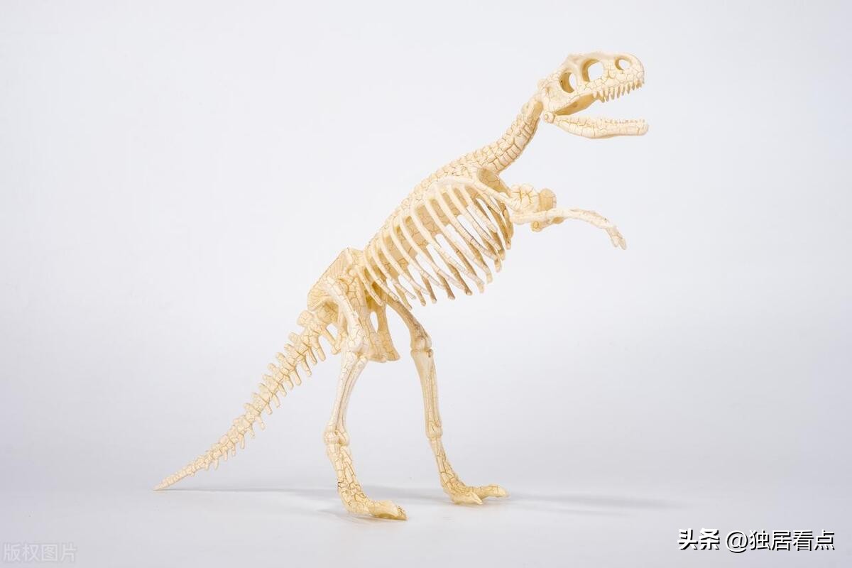 The Truth About the Mystery of the Missing Dinosaur Fossils - iNEWS