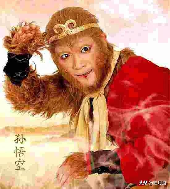 Dapeng bird comes to Vulture Peak - iMedia