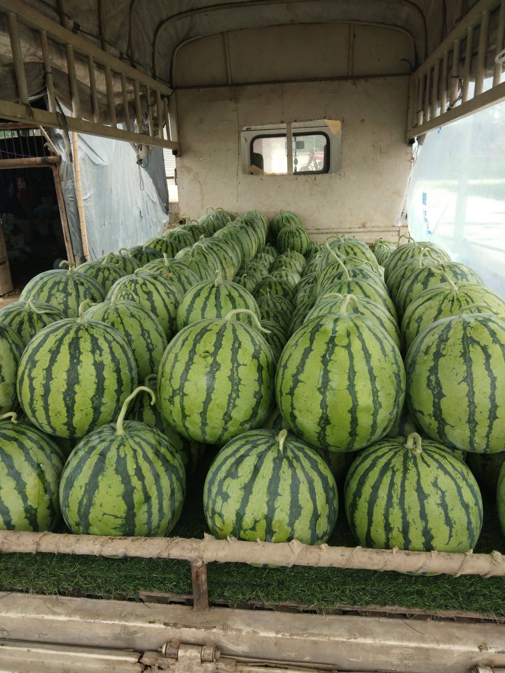 The list of the top five most delicious watermelons in China, see if ...