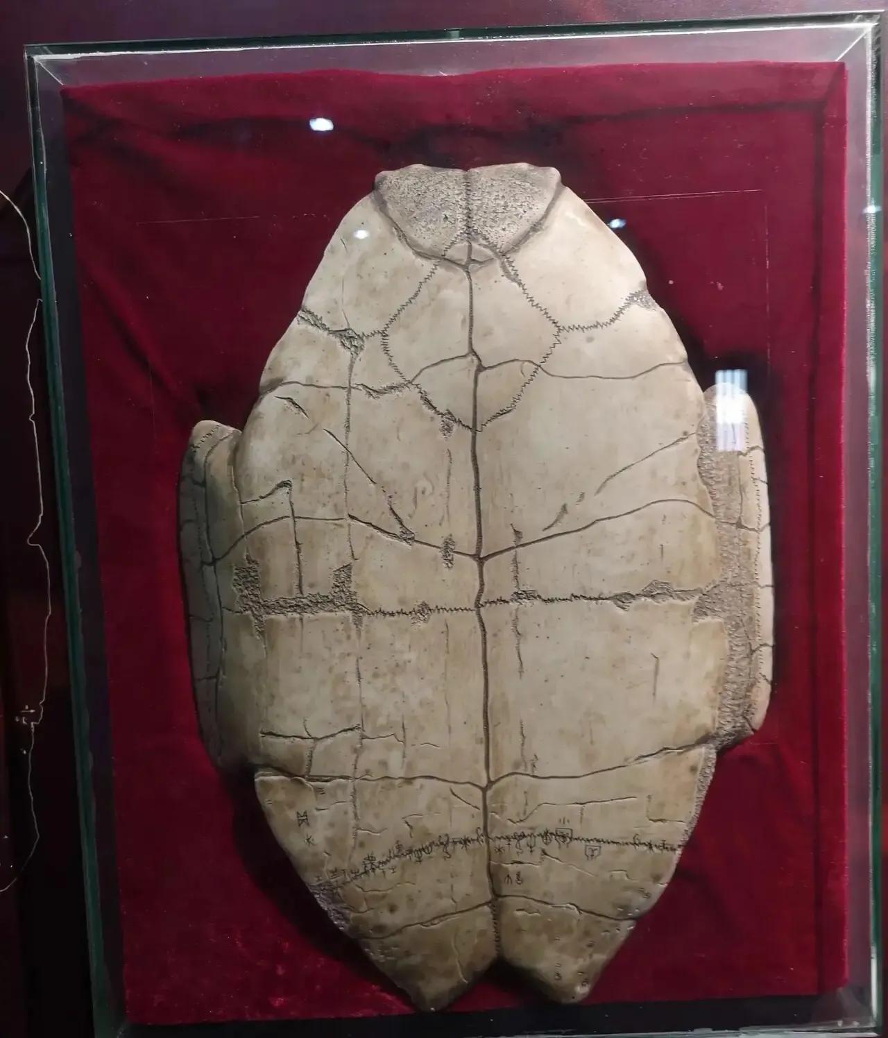 Three Kinds of Oracle Bone Inscriptions Outside the Yin Ruins - iNEWS