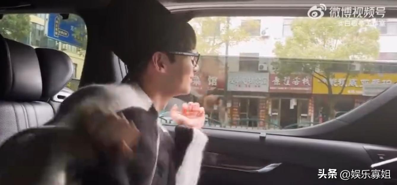 Bai Jingting dances wadada in the car, his movements are smooth and ...