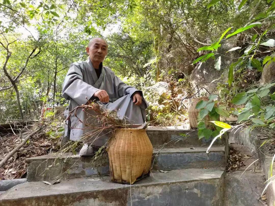 Chinese medical monks, take medicine as the law, and repay the kindness ...