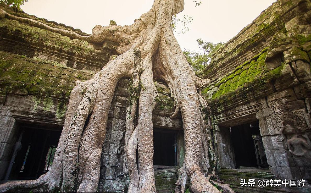 Visit Hongdong Great Locust Tree Root-seeking Ancestor Garden, feel ...