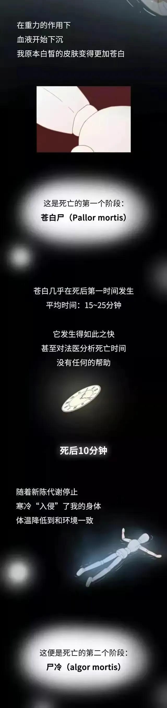 What happens to the "corpse" after a person dies?When will it become ...