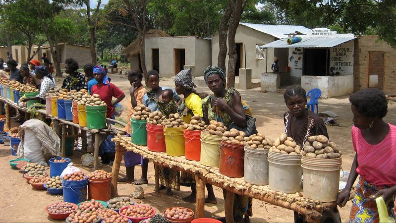 Zambia's Imperial Historical System, the Historical Inevitability of ...