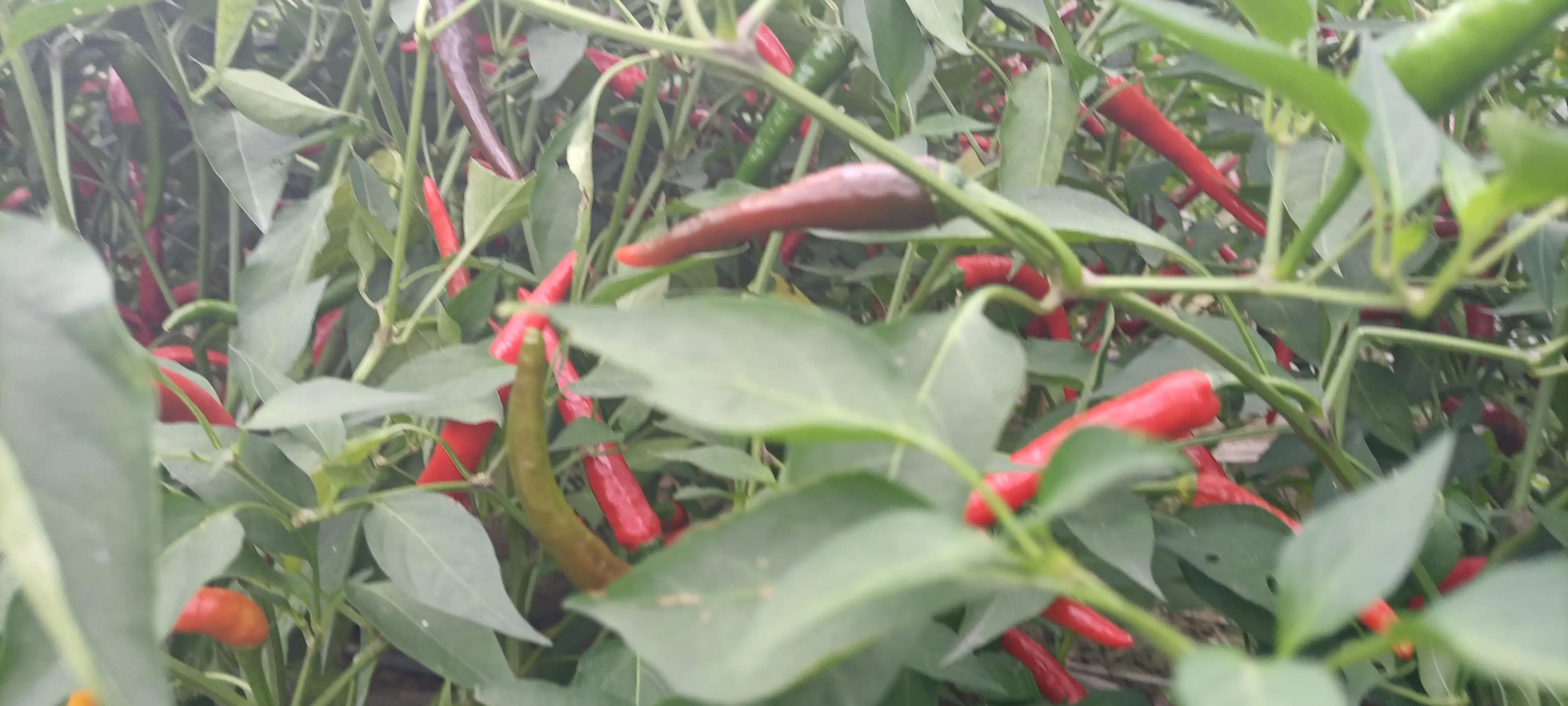 Any child's problem is a parent's problem - talk about unfilial piety ...