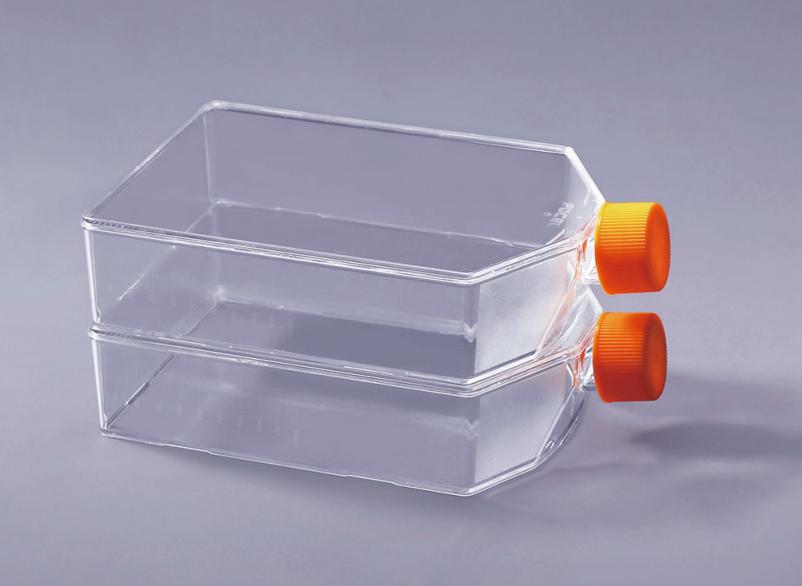 Application of cell shaker flask in liquid culture of Saddleae alba - iNEWS