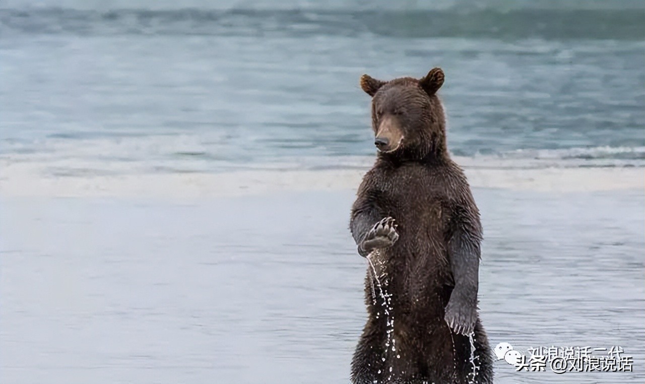 The so-called entertainment stars and rock stars are nothing but ...