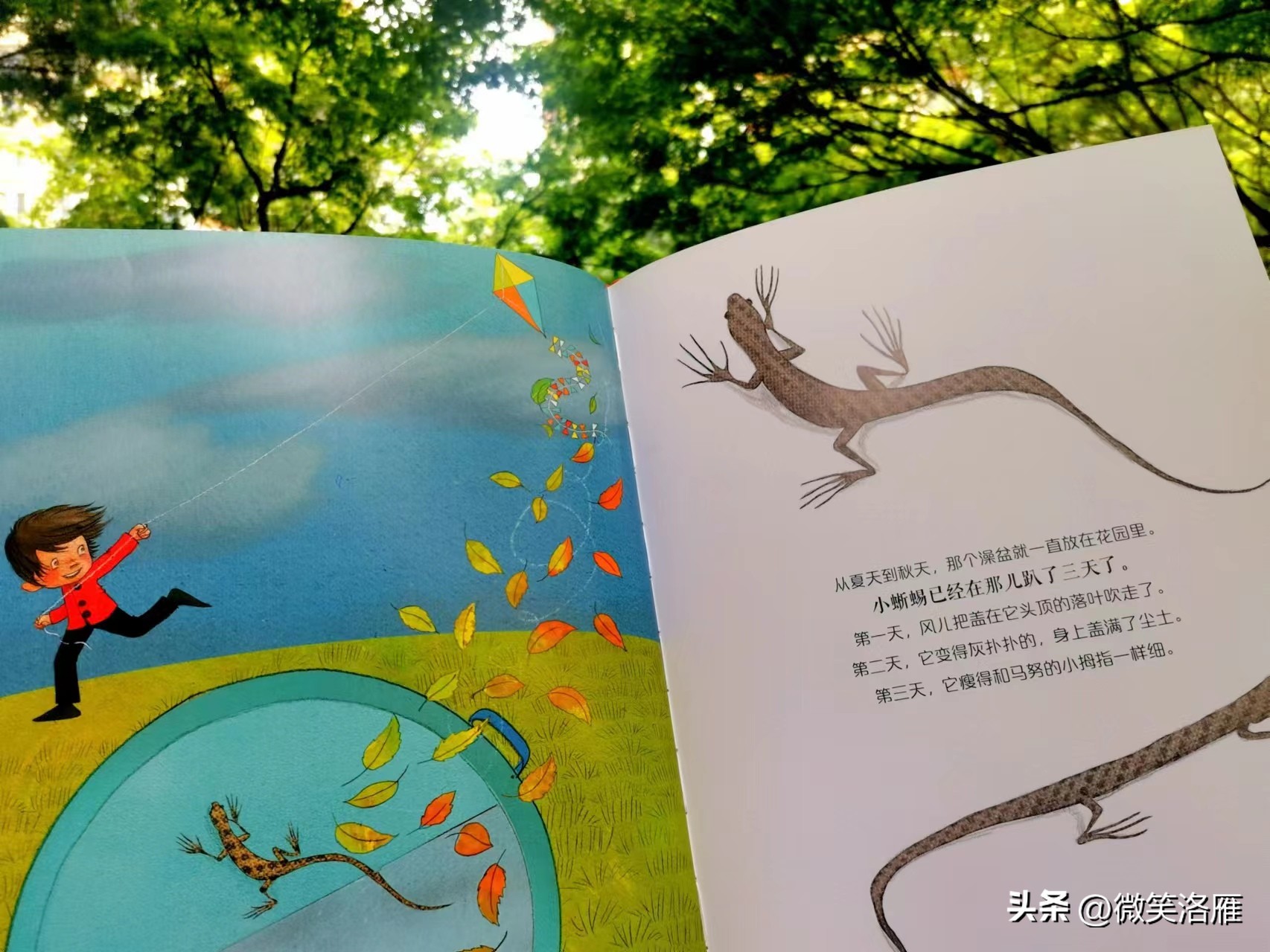 2+ "Manu's Lizard" understands the world, discovers details, super ...