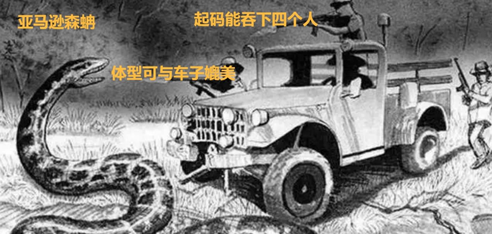 60 million years ago, the earth had a "high fever" and gave birth to ...