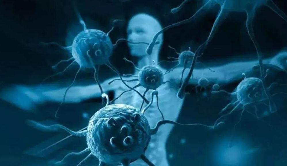 Immune cell storage, top up your life bank! - iNEWS