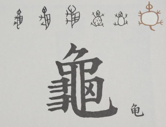 Animal cultural significance contained in the evolution of ancient ...