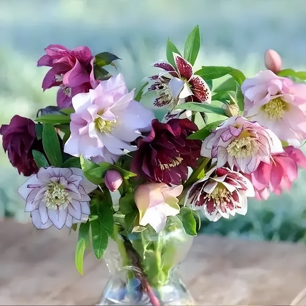 Flower Symbolism in the Ostrogothic Kingdom: The Embodiment of ...