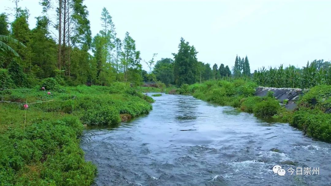 [Water Run Chongzhou]The prosperity and prosperity of the east corner ...