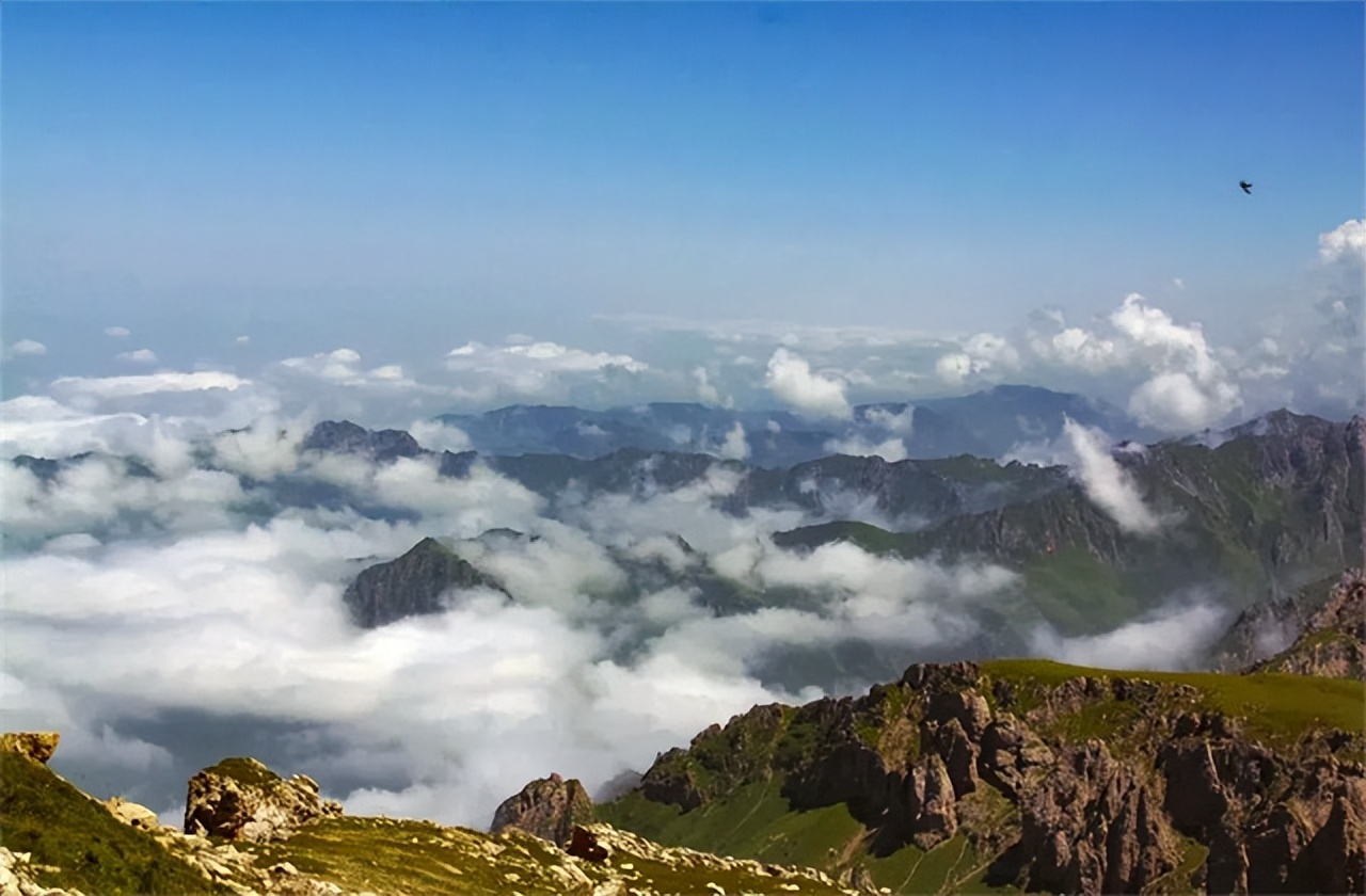 [Linkage publicity] Linxia is full of dynamics in various poses and ...