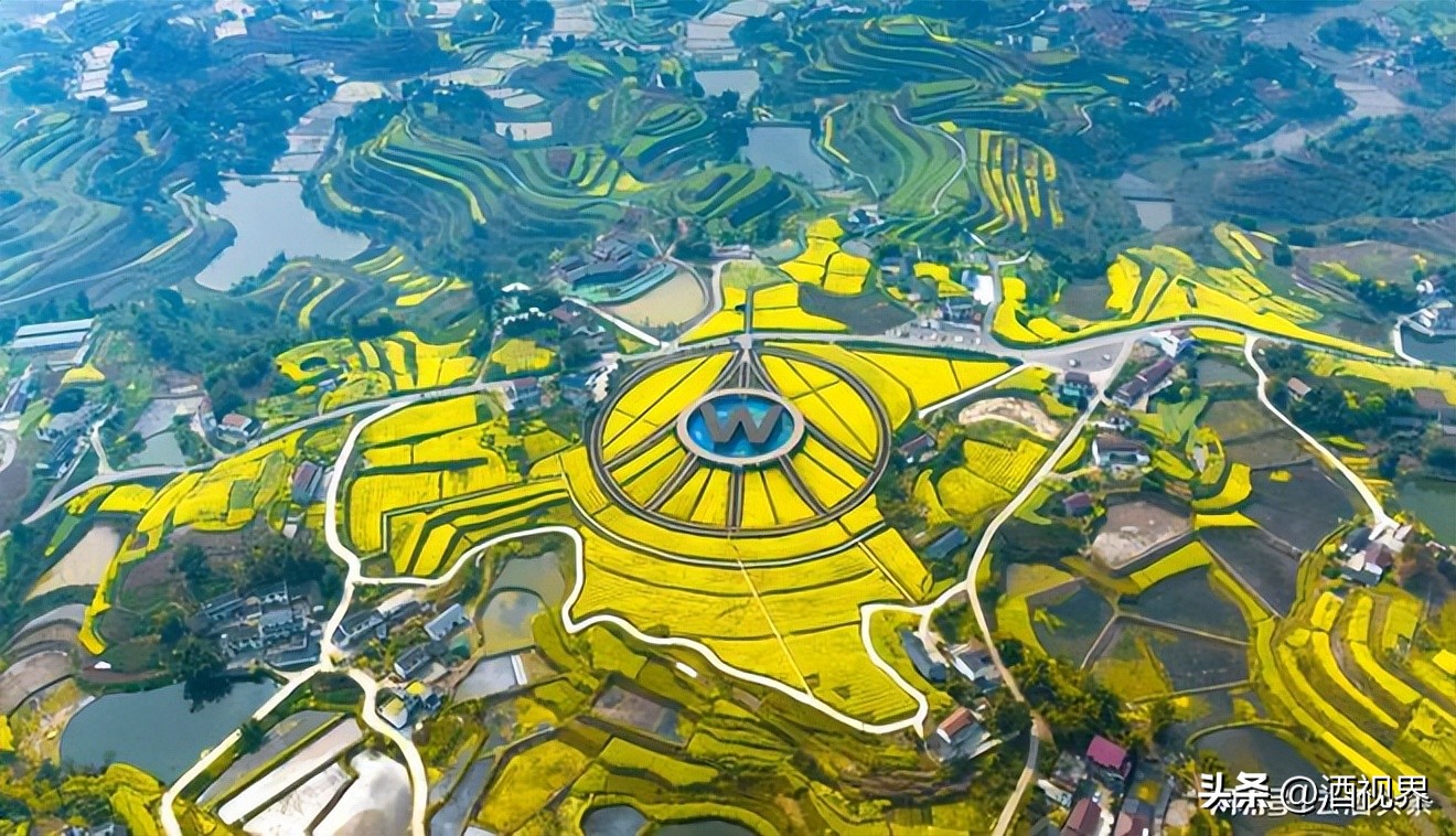 "1+1+5+N", what new signal does the popular Yibin production area send ...