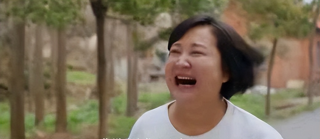 Domestic films are small and big, who earns more? Jia Ling Zhang Xiaofei "Hello Li Huanying" 5 ...