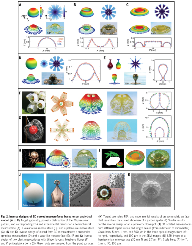 Programming 3D Curved Interface Using Micro Lattice Design - iMedia