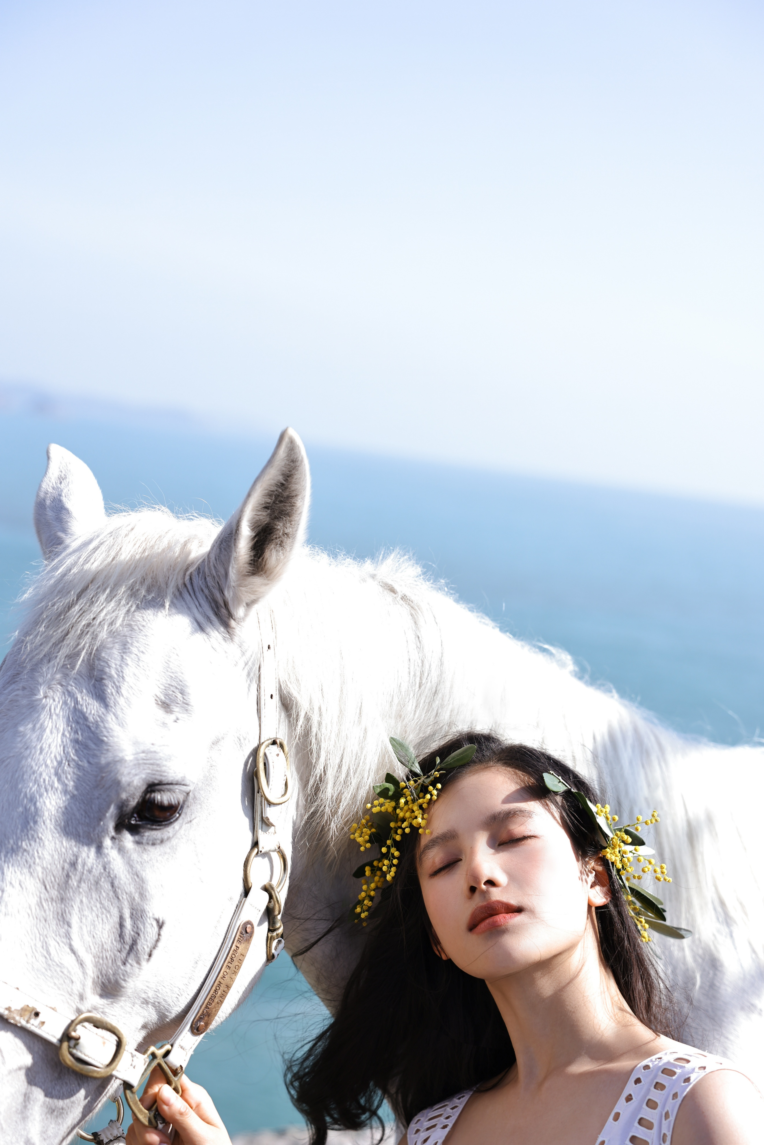 Zhang Jingyi's album collection - iMedia