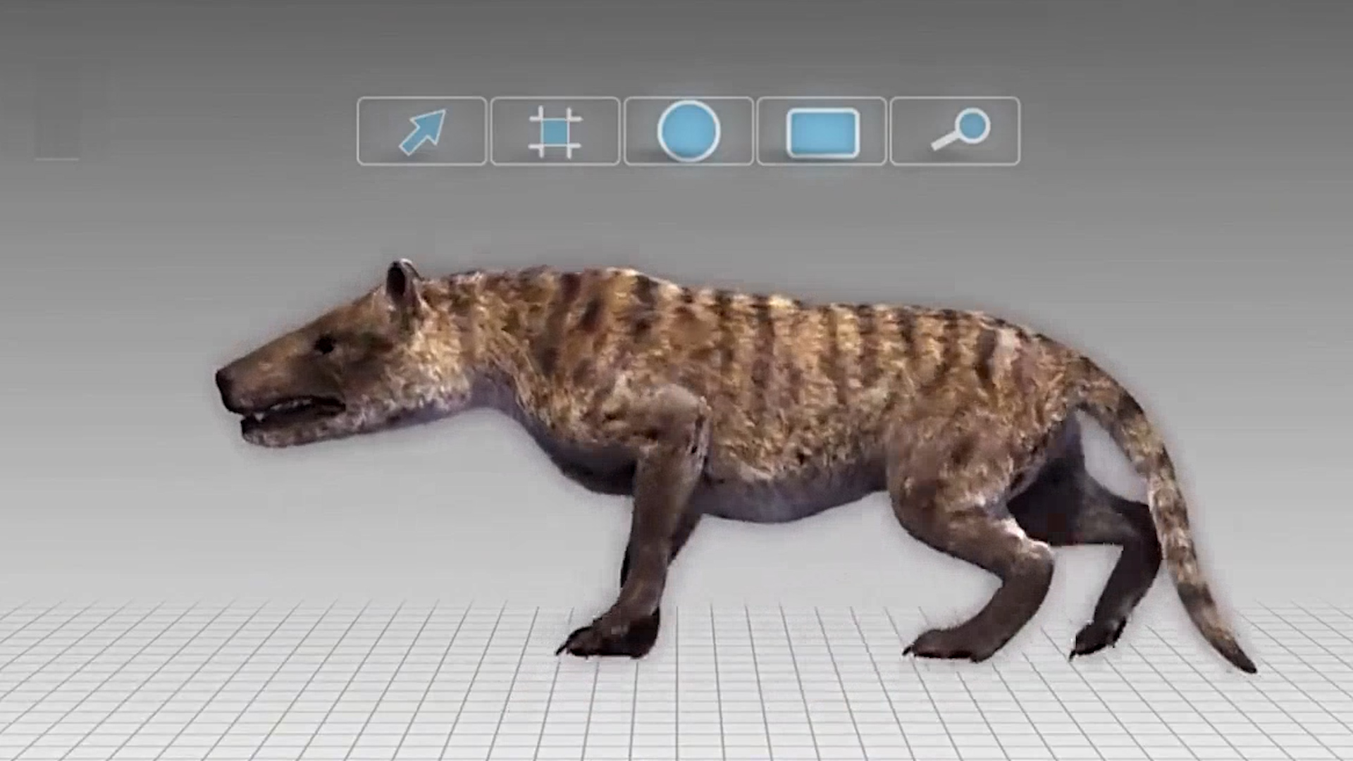 Scientists found traces of prehistoric beasts, 270 kilograms of bite ...