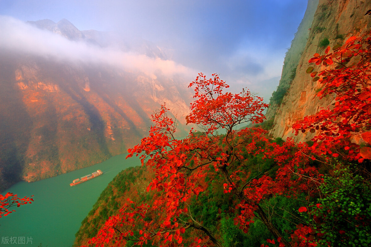 There are a lot of "SSS" level cover works in K songs for all people - iMedia