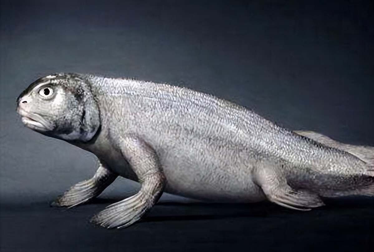 Study the origin of all things (8) - iNEWS