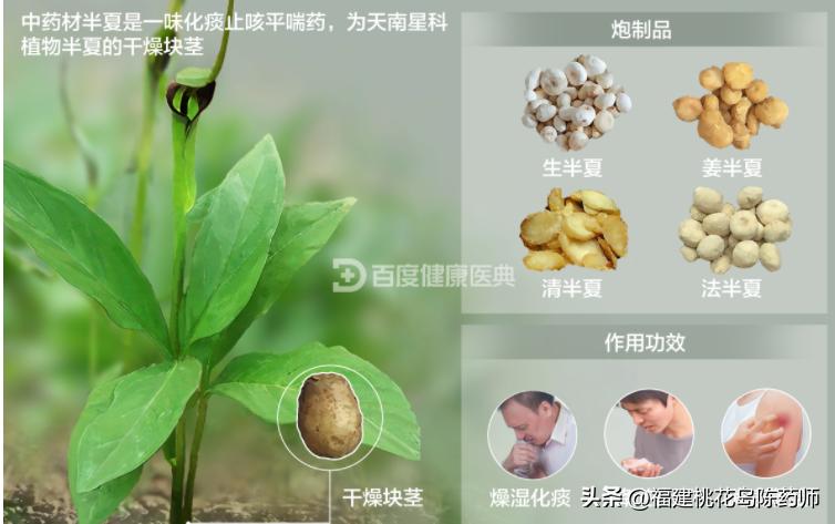 Plant-based poisonous traditional Chinese medicine (part 2)—① - iNEWS