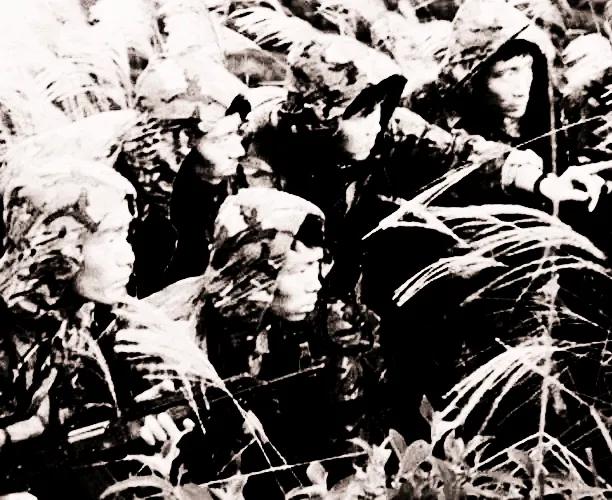 Eagle Eyes on the Battlefield——Three Days and Three Nights Behind the ...