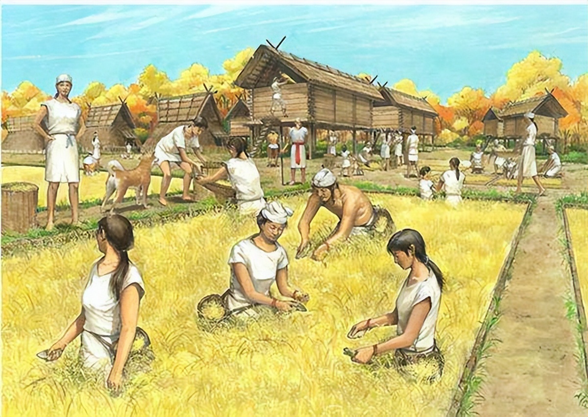 Agriculture and Food Production in Yayoi Period Japan - iNEWS