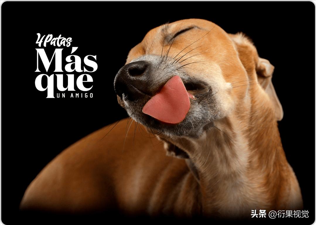 [Learning Poster Design]Essential elements for posters! - iMedia