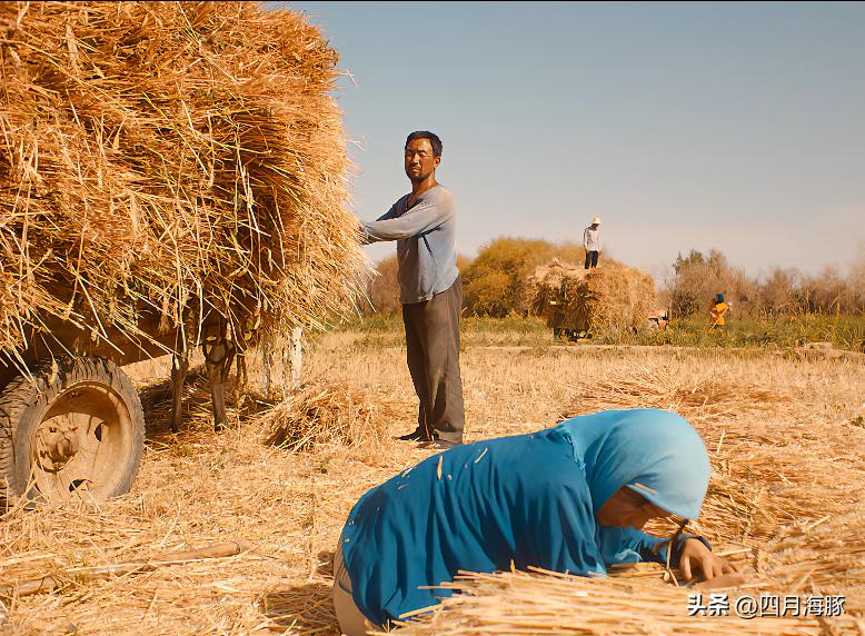 "Hidden in the Dust" Ma Youtie's anger at Guiying twice revealed his ...