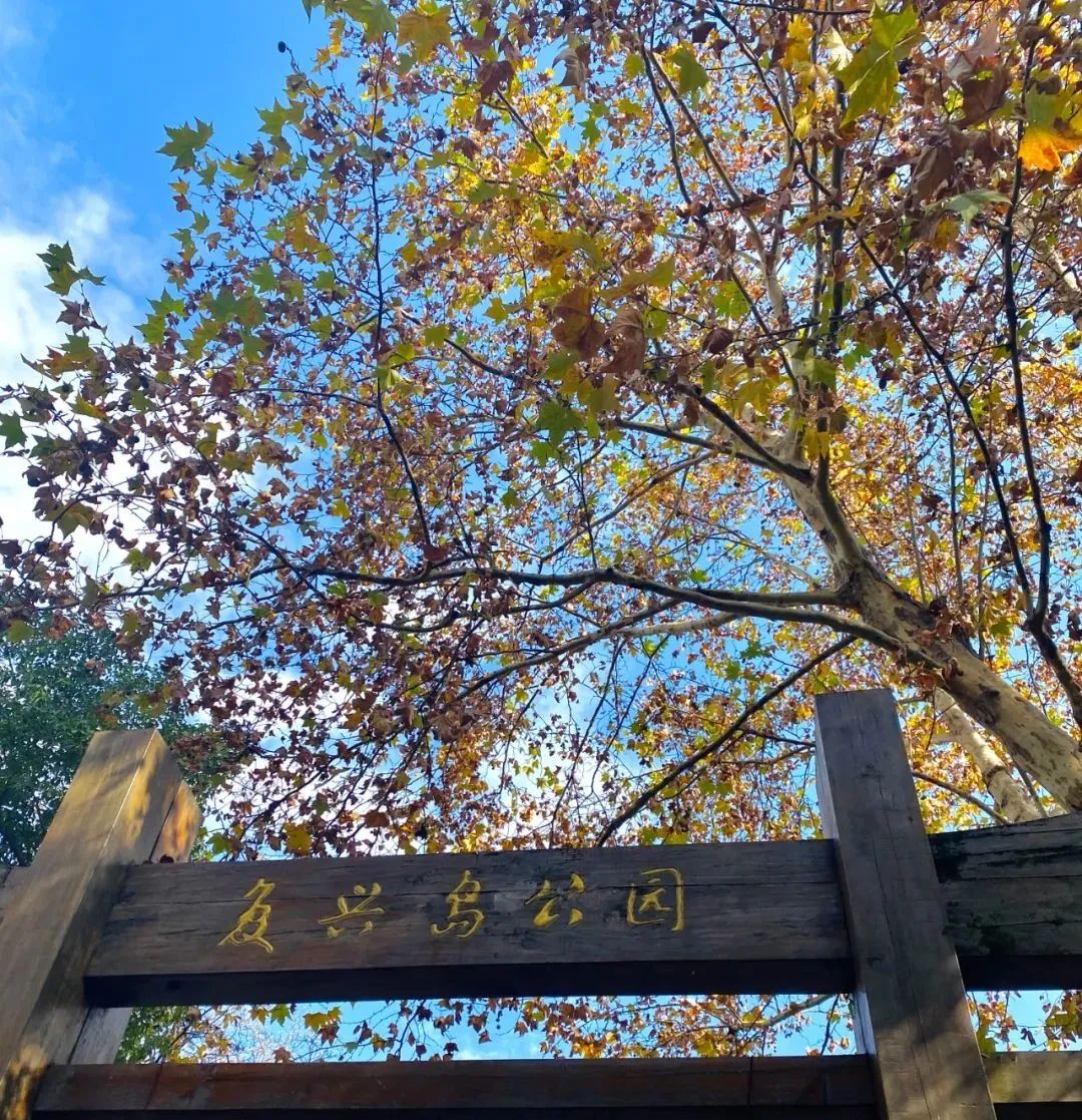 Shanghai Fuxing Island Park, walk into the White House, reveal the old ...