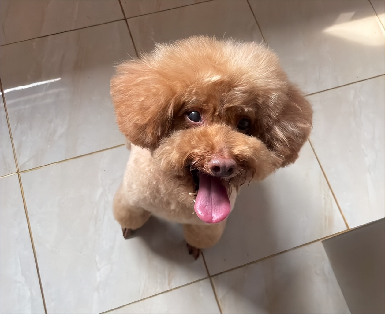 Please don't put my 13th rib on the right side back, or I'm afraid my ...