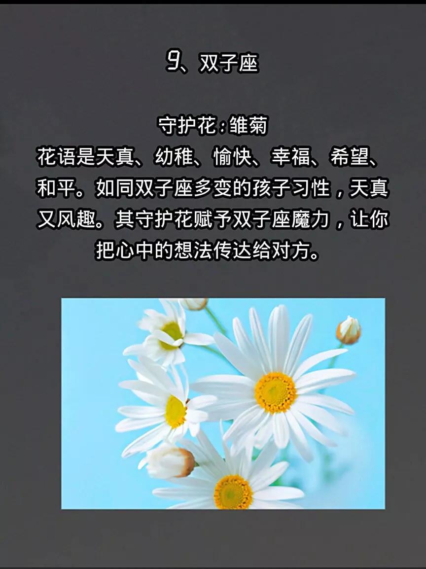 What is the guardian flower of the twelve constellations? - iNEWS