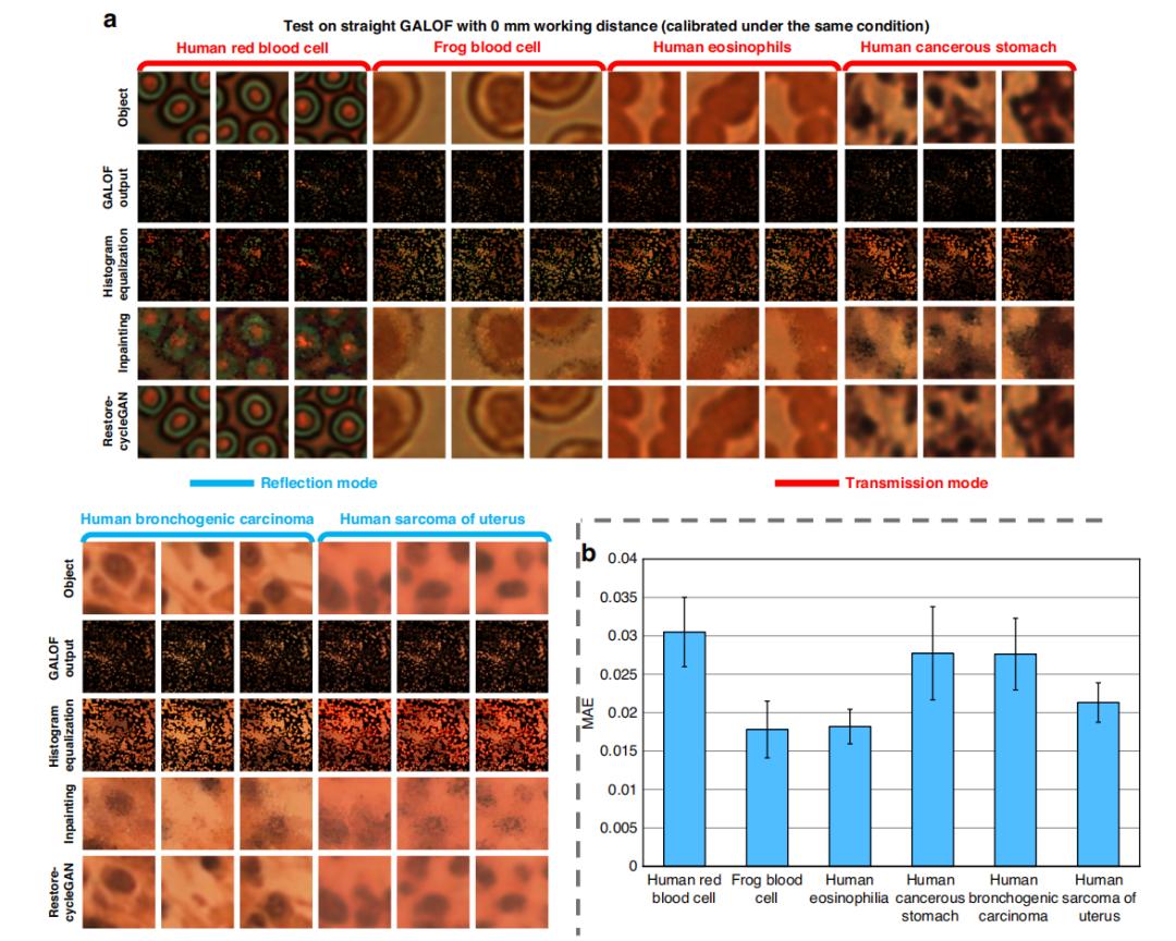 Scientists propose a new fiber optic imaging system to achieve high-quality transmission of ...