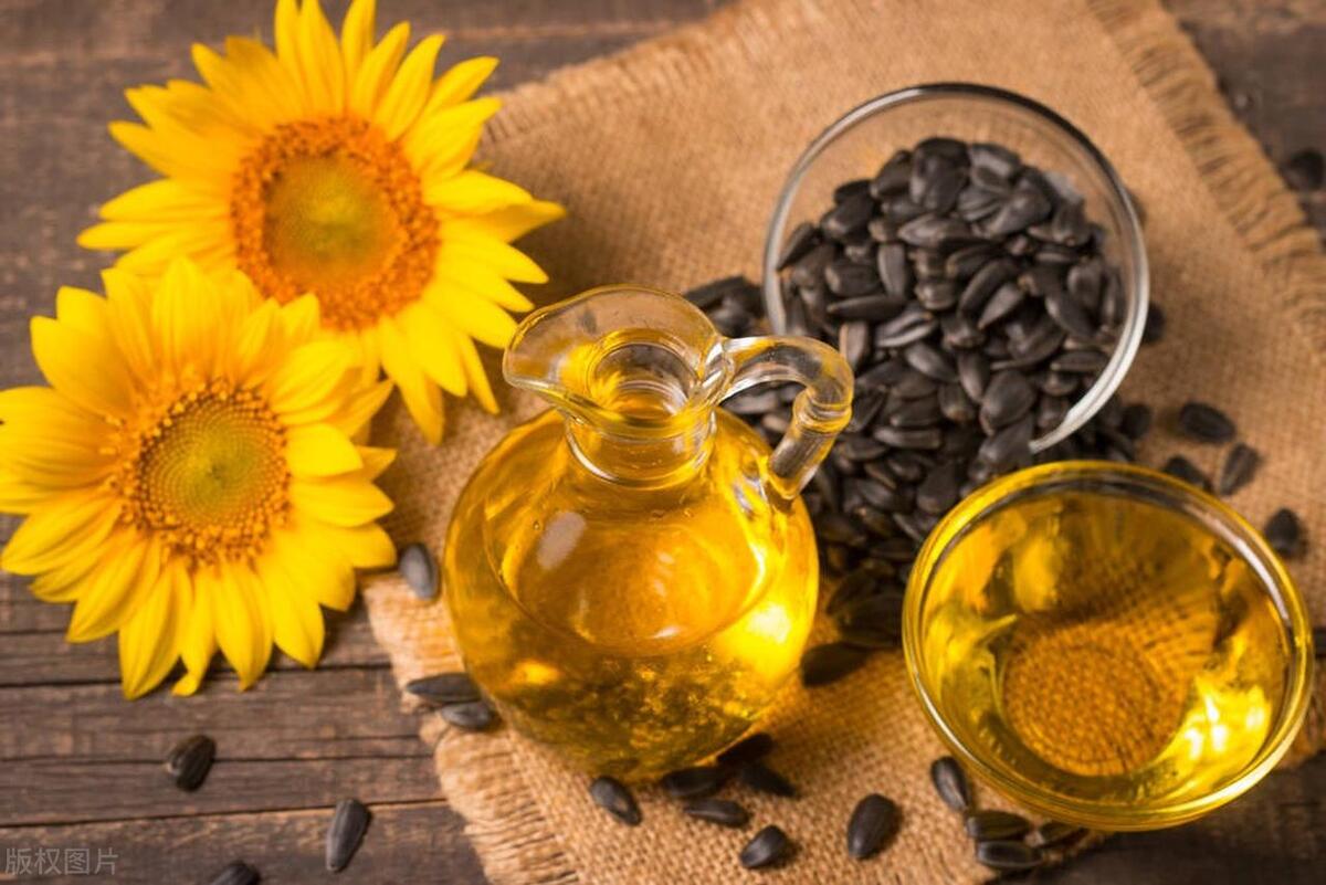 How Important Are Different Types Of Edible Oils In Daily Life Inews