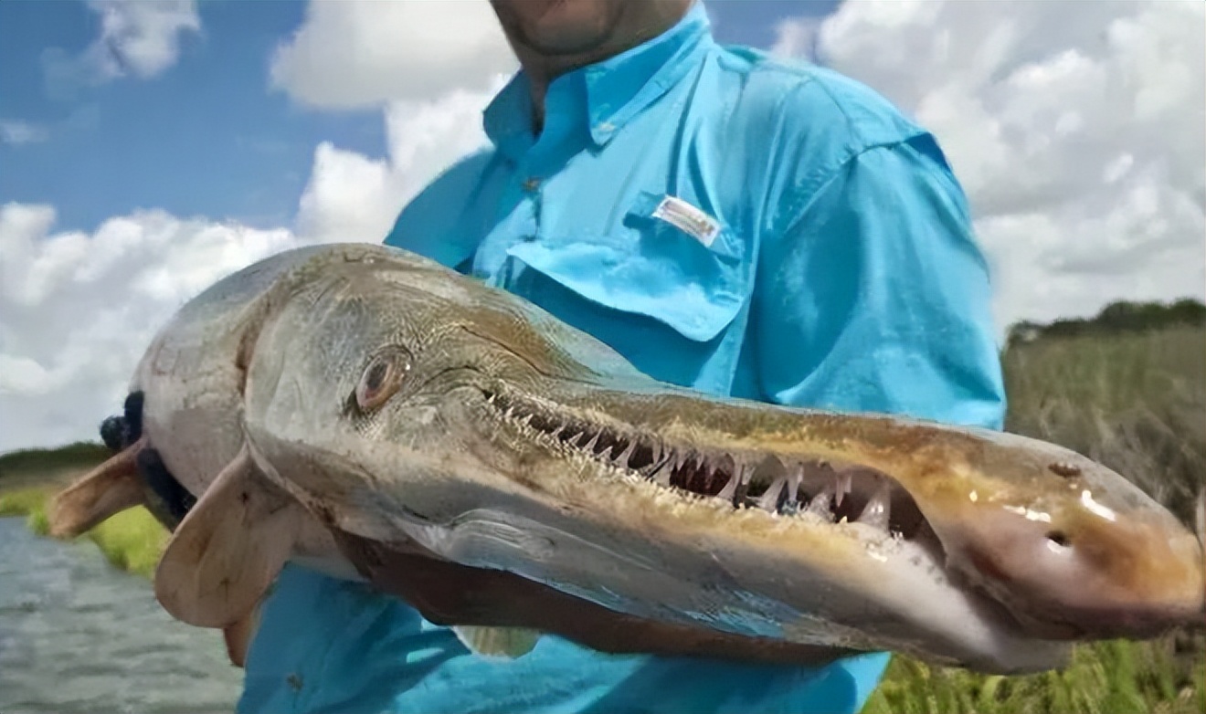 Also say a few words for draining the lake and catching strange fish ...