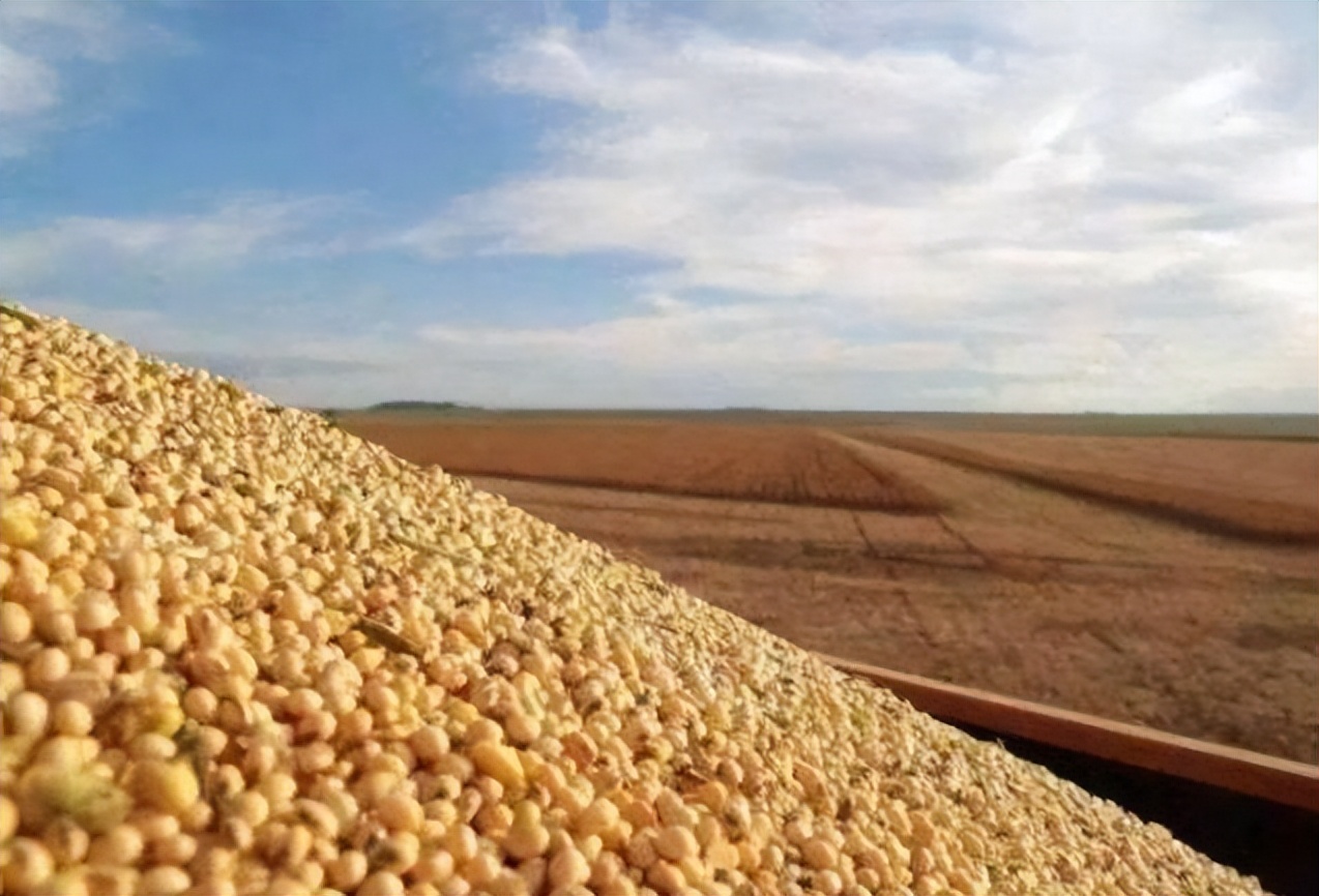 Is it healthy to eat soybean oil regularly? Doctor: You should eat less ...