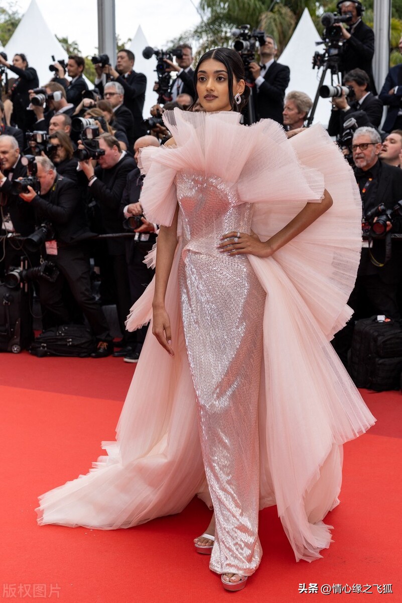 'Area of Interest' Premiere at Cannes Red Carpet: Supermodel Nilam Gill ...