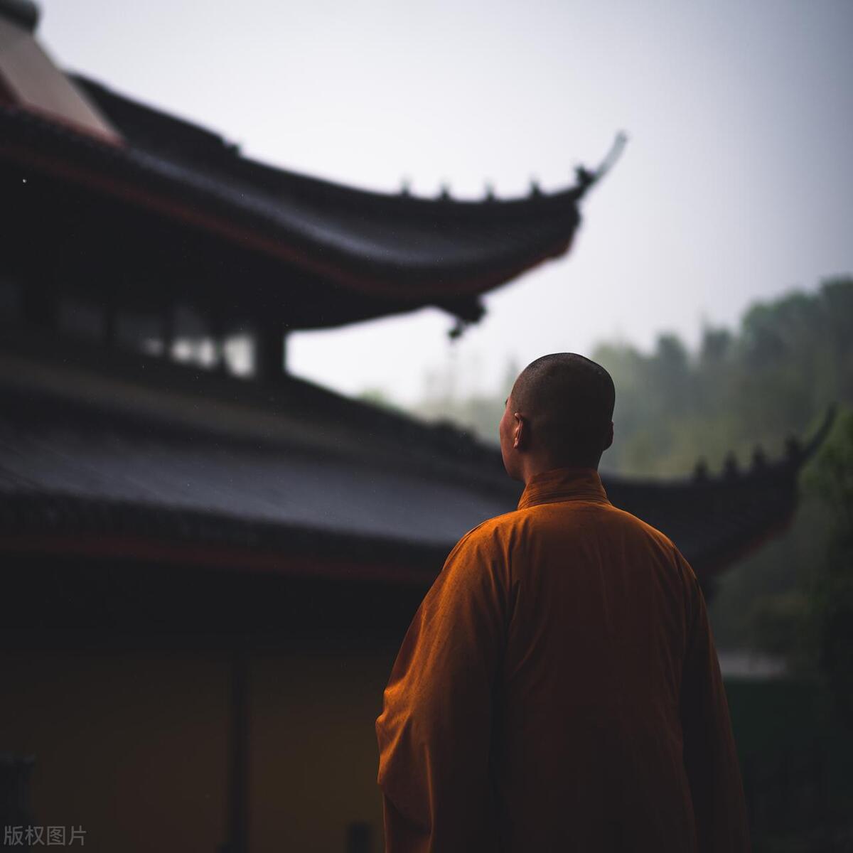 What is ignorance in Buddhist culture? - iNEWS