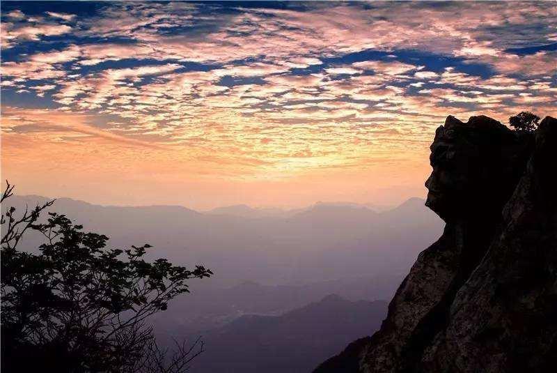 Jian Fei's Prose - Those Old Sandalwood Trees in My Hometown - iNEWS