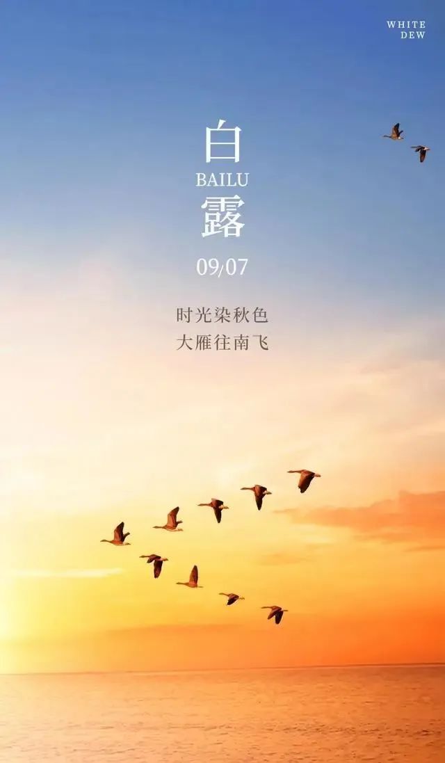 Bailu is here, Bailu is the autumnal equinox night, it's cool all night ...