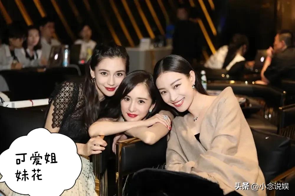 Yang Mi reunited with his old love, and netizens hotly discussed: How ...