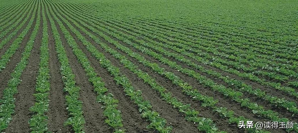 Essentials of Lixia - iNEWS